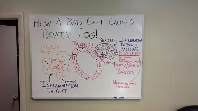 How a Bad Gut Causes Brain Fog